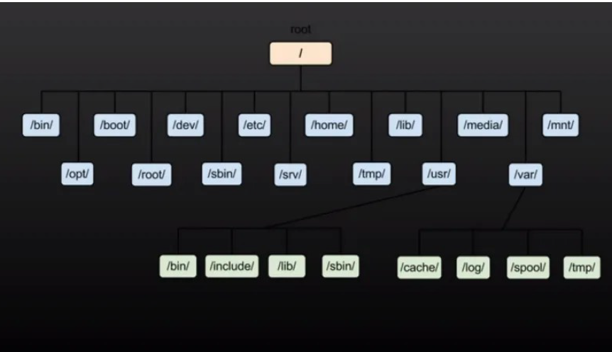 Estrutura de Diretório Linux